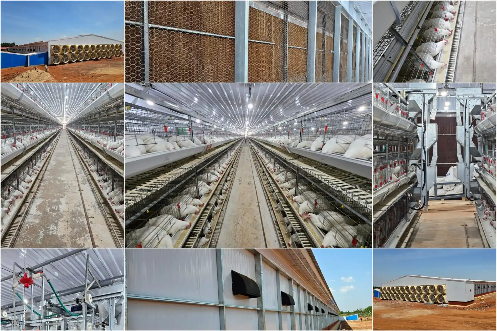 Broiler Farm Project in Uganda for 1 Lakh Birds completed in Record ...