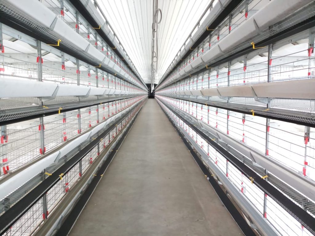 Chakra Poultry Modular H-Frame Cages - Poultry Cage Systems