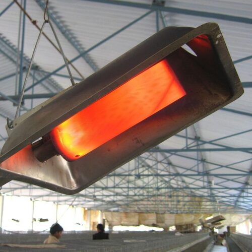 Chakra Poultry Gas Heating System - Chakra Poultry Equipments