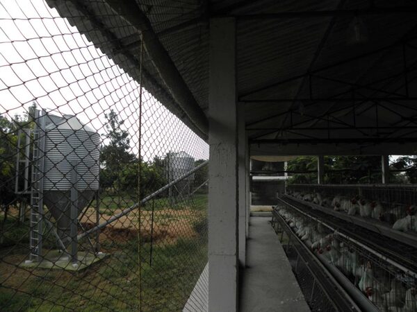 Our Infrastructure - Chakra India Infrastructure – Chakra Farms Poultry